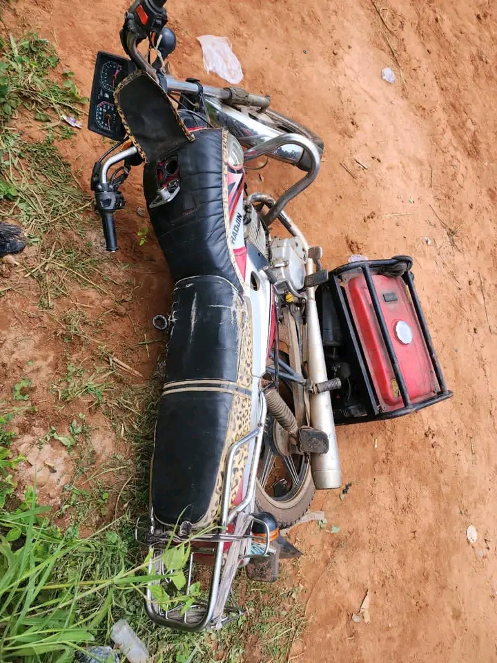 TROOPS OF OPERATION UDO KA II CONDUCT CLEARANCE OPERATION - News Mirror