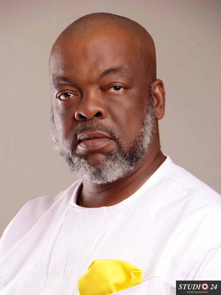 The Intimidating Profile of the Chairman, South East Development Commission ( SEDC ) Chief Emeka ...