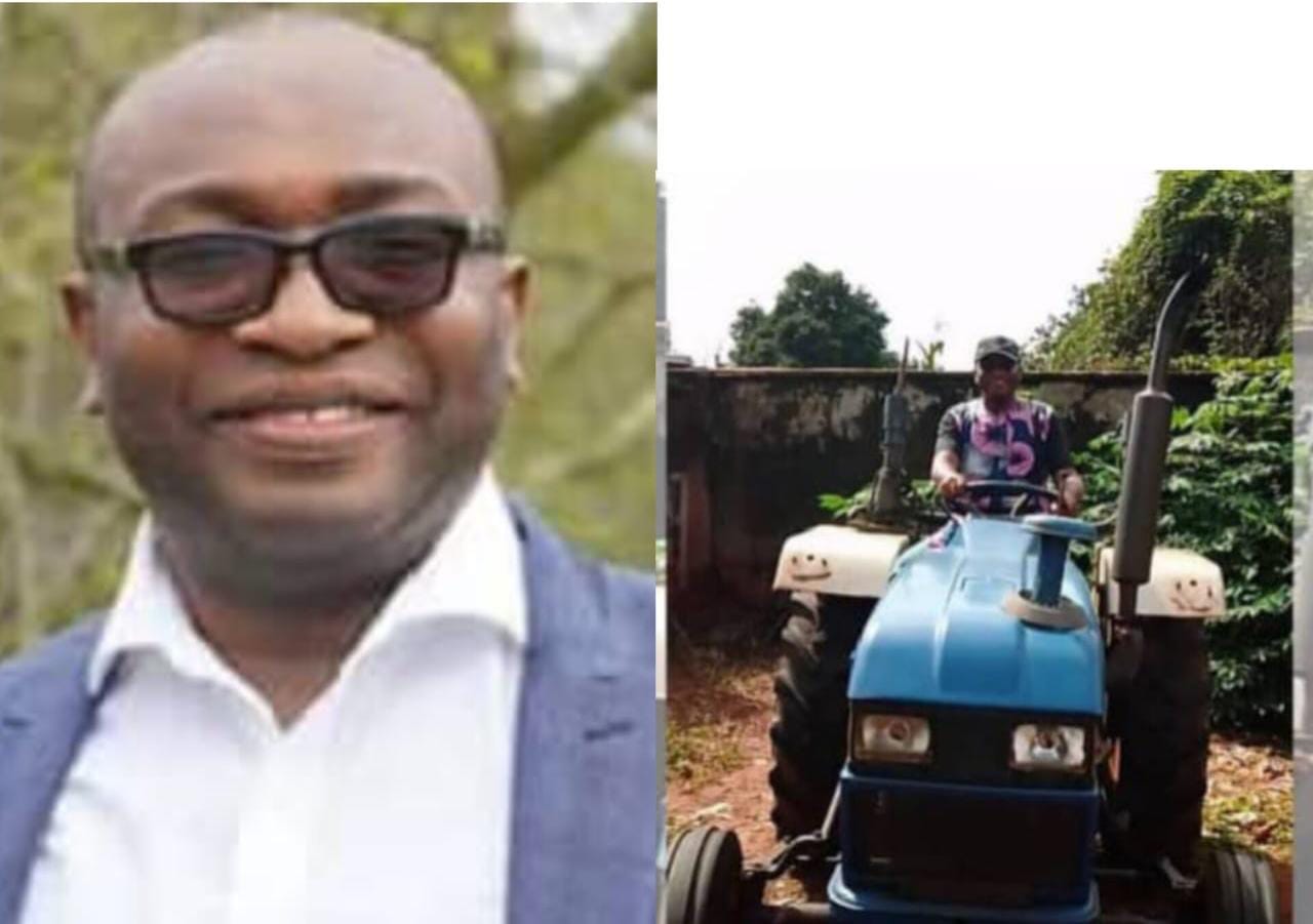 Driving Sustainable Change in Nigeria: Insights of a diaspora expert By ...