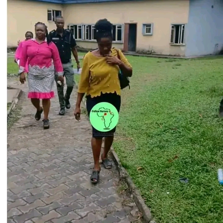 AUTHORITIES APPREHEND FAKE NURSE: SUSPECT CAUGHT WITH COUNTERFEIT NMCN ...