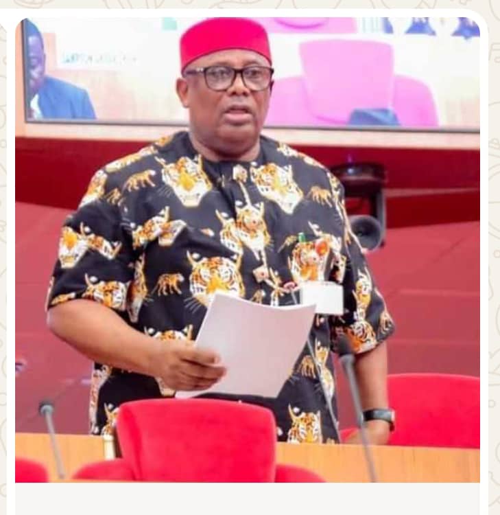 A Distinguished Son of the East: Senator Austin Akobundu and the Future ...