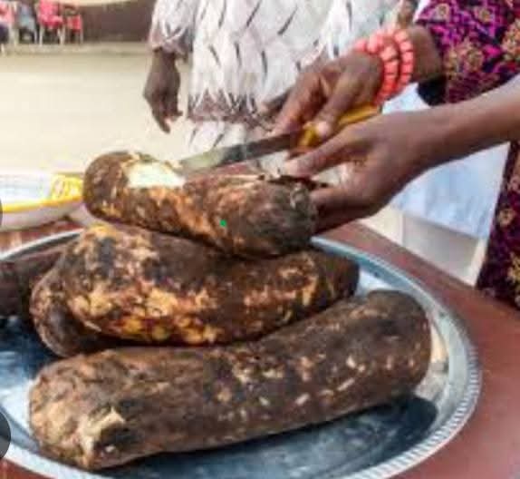 The Paradox of the New Yam Festival: A Call to Action for Igbo ...
