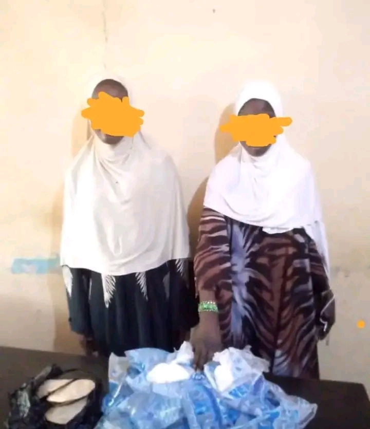 Two Arrested for Attempted Drug Smuggling into Kano Prison - News Mirror