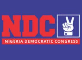 NDC takes institutionalisation steps at NEC meeting - News Mirror